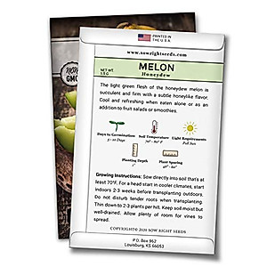 Sow Right Seeds - Green Honeydew Melon Seed for Planting - Non-GMO Heirloom Packet with Instructions to Plant a Home Vegetable Garden