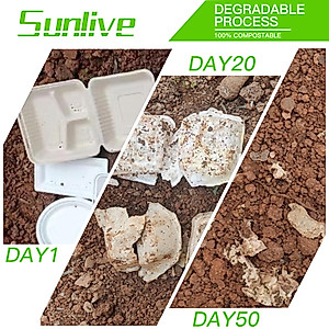 Sunlive 100% Home Compostable 50 Pack Disposable Clamshell Take Out Food Containers, 8X8'' 1-Compartment to go Containers, Heavy-Duty to go Boxes, Eco-Friendly Biodegradable, Made of Sugarcane Fibers