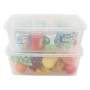 Bblina Clear Storage Bins, Plastic Latch Boxes set of 2, 16 Quarts
