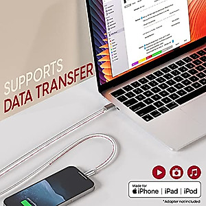 TALK WORKS USB C to Lightning Cable Charger Compatible w/iPhone 14/14 Plus/14 Pro/14 Pro Max, 13/13 Mini/13 Pro/13 Pro Max, 12/12 Mini/12 Pro/12 Pro Max, iPad-10' Braided Cord-MFI Certified (Silver)