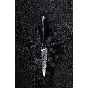 Oxford CHEF Paring Knife- 3.5 Inch - Damascus Japanese- VG10 Super Steel 67 Layer High Carbon Stainless Steel- Razor Sharp, Stain & Corrosion Resistant, Awesome Edge Retention