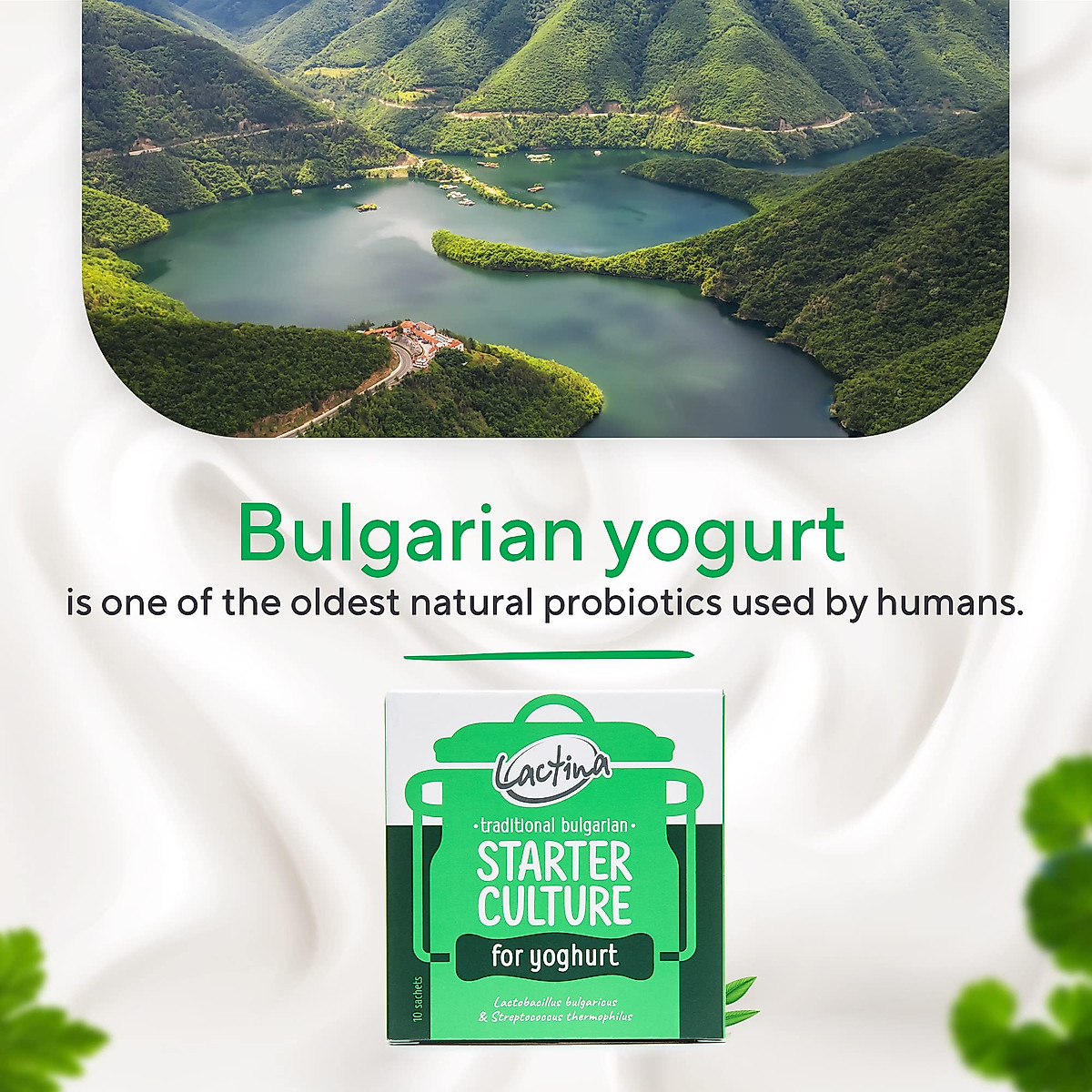 Bulgarian Yogurt Starter Culture Natural Probiotic Yogurt Culture Starter Homemade Yoghurt Starter 10 Liters Lactobacillus bulgaricus (traditional)
