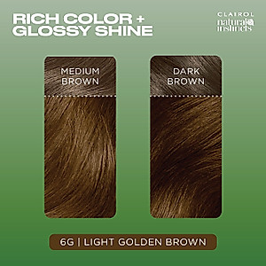 Clairol Natural Instincts Demi-Permanent Hair Dye, 6G Light Golden Brown Hair Color, Pack of 3