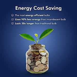 Xtricity R14 LED Light Bulb, 4.5w (40w equivalent), Dimmable, 300 Lumens, 3000k Soft White, E26 Medium Base, RoHS Compliant (Pack of 3)