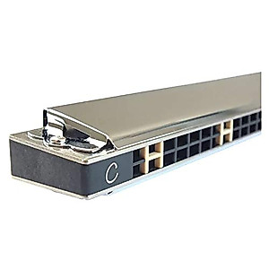 WAAZVXS 21 Holes Tremolo Harmonica Key Of C Harp Brass Reeds Wood/ABS Comb Musical Instruments (Color : Key Of C)