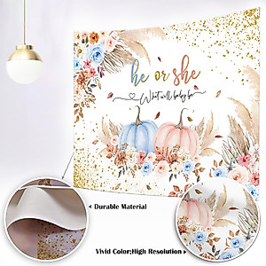 Mocsicka Pumpkin Gender Reveal Backdrop Autumn Fall Pumpkin Baby Shower Party Decorations Boy or Girl Thanksgiving Pumpkin Gender Reveal Party Cake Table Banner (Blue/Pink, 8x6ft(96''x72''))