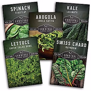 Survival Garden Seeds Greens Collection Seed Vault - Non-GMO Heirloom Seeds - Green Leafy Vegetables - Viroflay Spinach, Arugula, Lacinato Kale, Green Salad Bowl Lettuce & Rainbow Swiss Chard