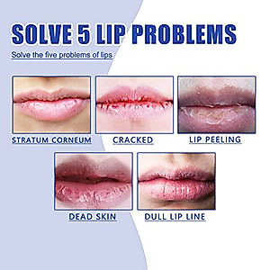 Lip Balm Clean Moisturizing Lip Balm for Chapped Cracked or Dry Lips Paraben and Silicone Free Nourishing Lip Balm Stick Antioxidant-rich Acai Extracts + Avocado Oil