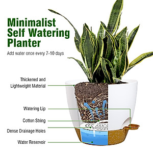 UOUZ 10/9/8 inch Self Watering Pots, Set of 3 Plastic Planters with Mesh Drainage Holes and Deep Reservoir for Indoor Outdoor Garden Plants and Flowers, White with Brown