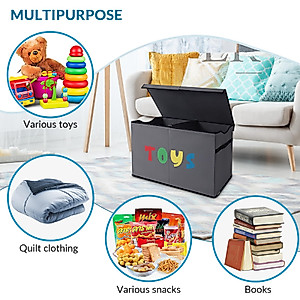 YOLOXO Toy Box Chest, Collapsible Sturdy Storage Bins with Lids, Extra Large Kids Toy Storage Organizer Boxes Bins Baskets for Kids, Boys, Girls, Nursery Room, Playroom, Closet (A-TBX-GRAY-MULTI)
