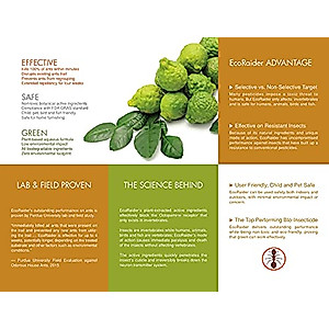 EcoVenger by EcoRaider Ant Killer & Crawling Insect Killer (Citrus Scent) 16oz, Kills Fast, Also Kills Spiders, Centipedes & More, Repels with Residual, Natural & Non-Toxic, Children & Pets Safe