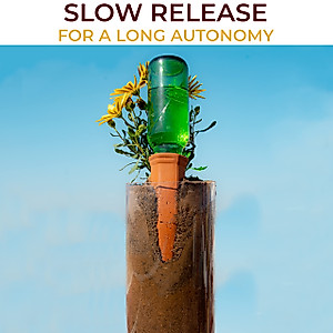 Reifier 6-Pack Natural Self Watering Spikes - Terracotta - Automatic Plant Waterer for Indoor & Outdoor