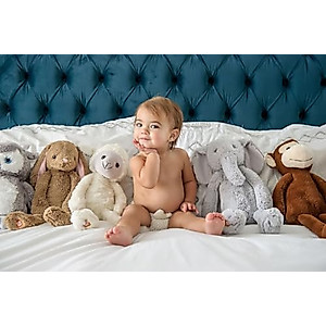 MBHB Digital Voice Recorder Stuffed Animal w/20 Second Recorder, Capture Baby's Heartbeat During Pregnancy + Ultrasound for Baby Showers, Registry, Birthdays, New Mom Gift, Bunny