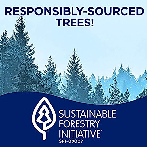 Sparkle Paper Towels, Spirited Prints, Pick-a-Size, 6 Count of 110 Sheets Per Roll, 110 Sheets (Pack of 6)