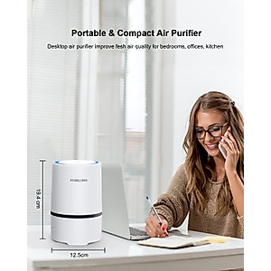 RIGOGLIOSO Portable Air Purifier,Air lonizer,USB Air Cleaner, True Hepa Homes Air Purifier Replacement Filter, Models GL2103/SY900S Filter