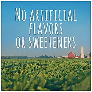 Gerber Graduates Yogurt Melts, Mixed Strawberry, 1-Ounce