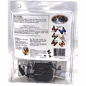 Flexinol Moving Butterfly (Blue Morpho)