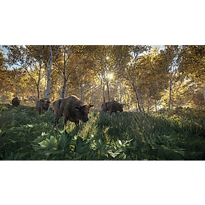 theHunter: Call of the Wild - PC