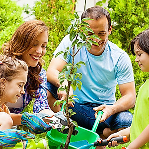 Pruning Shears, Kenossion Gardening Tools - Garden Shears with Ratchet Anvil, Professional Pruners for Gardening, Garden Clippers/Pruning Scissors with Stainless Steel Blades & Non-slip Handle