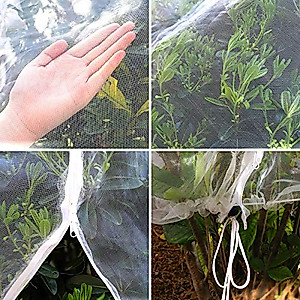 Garden Insect Plant Netting Cover with Zipper H in-Shape Bag Garden Bug Plant Netting Cover for Protecting Plant Fruits Flower from Insect Bird Eating (1, 84 x 72 inch)