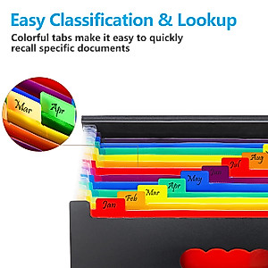 Sooez 13 Pocket Expanding File Folder, Premium Monthly Document Organizer, Accordian File Folder Organizer, Accordion Folder, Letter A4 Paper Document Storage Organizer, Black