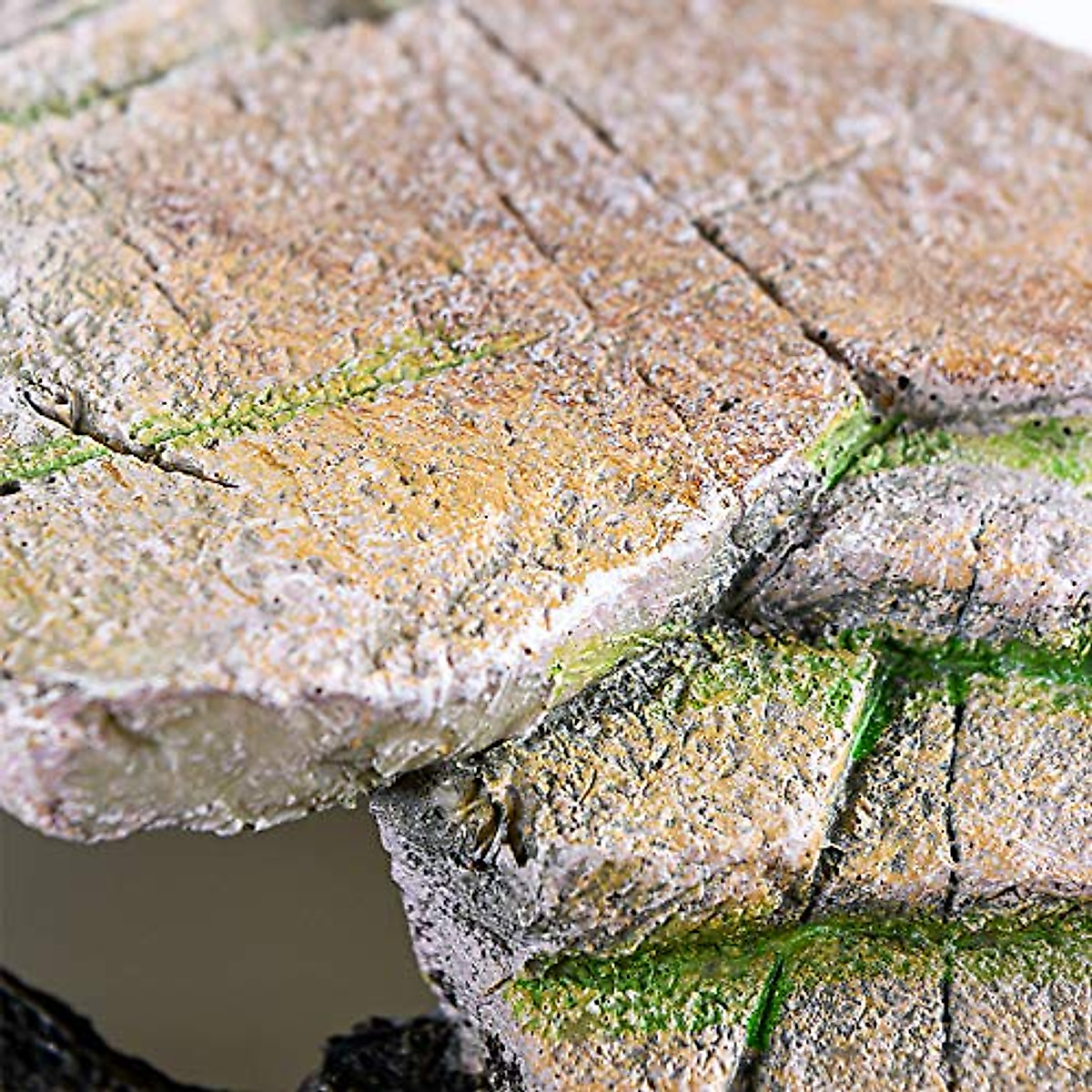 PENN-PLAX Reptology Shale Scape Step Ledge & Cave Hideout – Decorative Resin for Aquariums & Terrariums – Great for Reptiles, Amphibians, and Fish – Medium