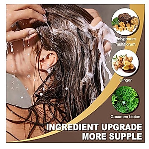 TSSPLUS Black Hair Dye Shampoo, 500ml - Organic Natural Hair Color Dye Shampoo for Women & Men, Instant Gray White Hair Cover, Plant Essence, Semi-Permanent