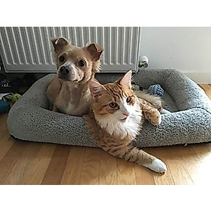 Enjoying Plush Cat Bed Mat, 16" x 22", Self Warming Cat Bed with Pillow Around, Dog Kitty Relying/Curling Sleep Cushion, Warm Bed for Small to Medium Dogs Cats Rabbits, Antiskid Bottom, Medium