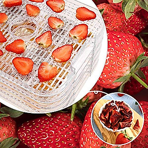 8 Trays Food Dehydrator Machine, Dehydrators for Food and Jerky, Food Dehydrator Machine with Fruit Roll Sheet for Meat, Herbs, Upgraded Digital Timer and Temperature Control | BPA Free | 400 Watts