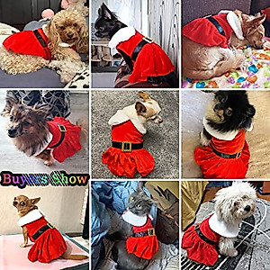 Dog Christmas Costume Puppy Dress, Santa Claus Pet Clothes Velvet Skirt Thermal Shirt Winter Coat Xmas Holiday Apparel Cute Girl Clothing Red Dresses, Dog Outfit for Small Medium Dogs Cats (S, Red)