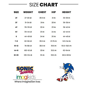 SEGA Sonic The Hedgehog And Friends Little Boys Fleece Hoodie Grey 7-8