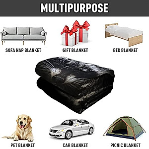 HommomH Raccoon Blanket Animal Pattern Digital Print Fleece Throw Black 40"x50"