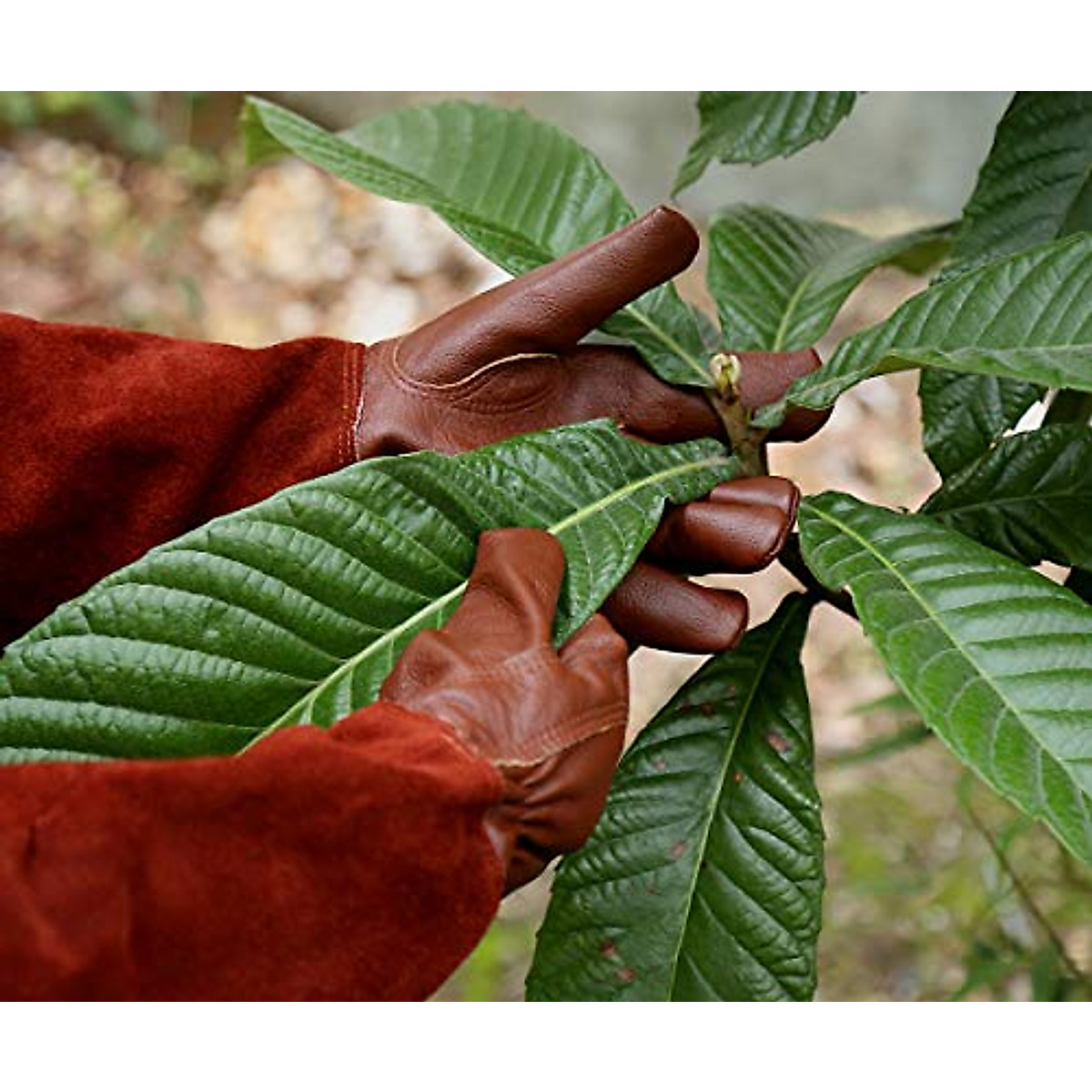 Acdyion Gardening Gloves for Women/Men Rose Pruning Thorn & Cut Proof Long Forearm Protection Gauntlet, Durable Thick Cowhide Leather Work Garden Gloves