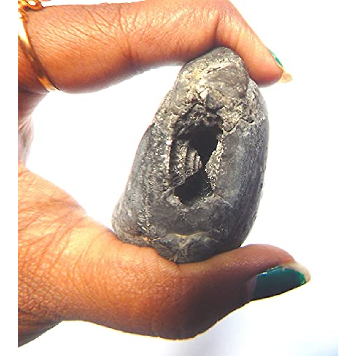 XUETZALCOATL Adwaitya Narsimha Maha Vishnu Shaligram Nepal Kali Gandaki