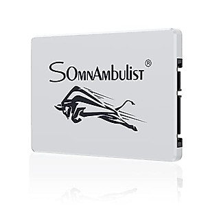 Somnambulist Solid State Drive 60gb 960gb SSD120gb 240gb 480gb ssd Suitable for Laptop 2tb ssd Hard Drive (White Cow 480GB)