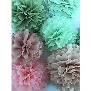 Tissue Paper Pom Poms Kit -Rose Pink and Sage Green Paper Flowers 12pieces for Gender Baby Shower Wedding Bridal Bachelorette Birthday Party Decorations (Green + Pink)
