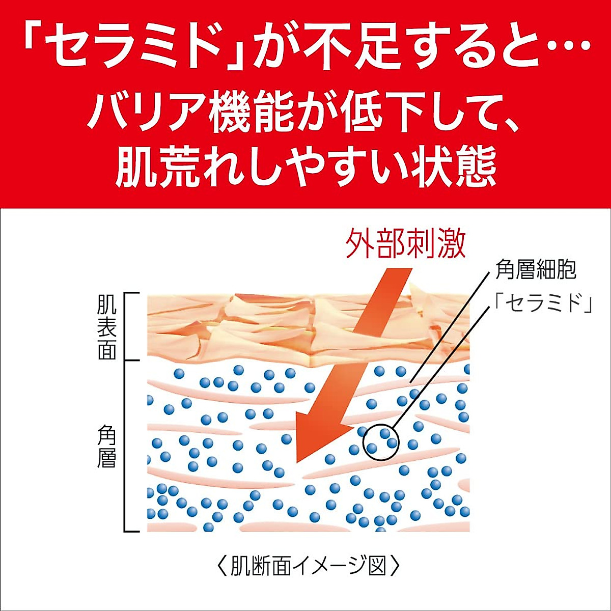 Curel Japan Kao Face Care | Moisture Lotion I Light 150ml