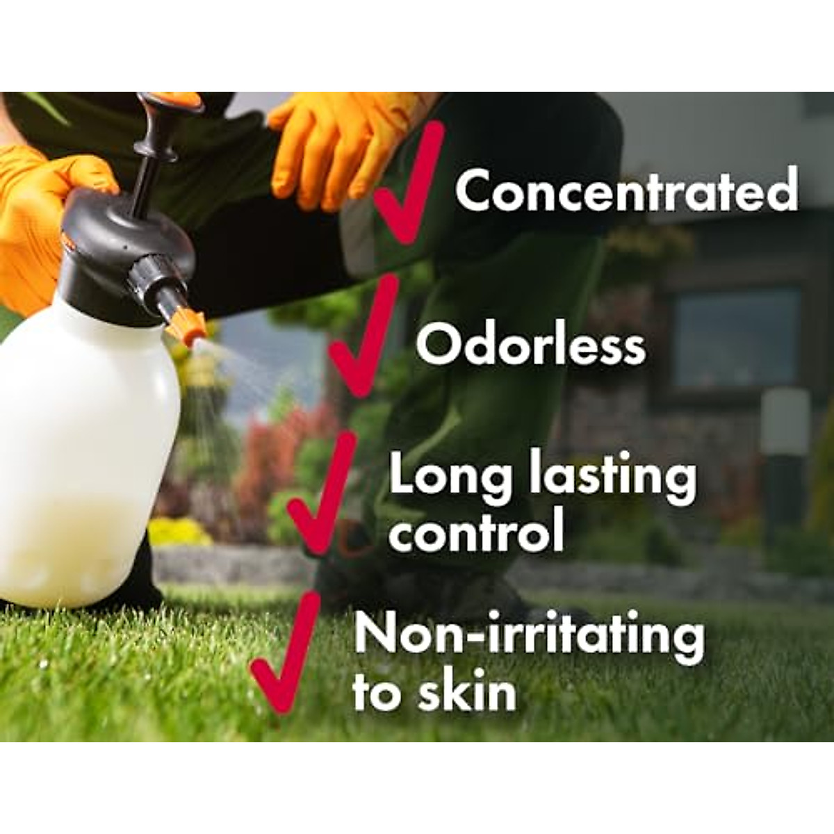 7.9% Bifenthrin Insecticide - 32 Ounces - (Compare to Leading Brands) – Professional Insect Control - Kills on Contact - Fire Ants, Ticks & More