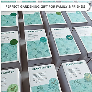 LOOPSEED Plant Mister Spray Bottle Stainless Steel Watering Can for Indoor Plants Succulent Bonsai Garden Houseplant Spritzer Modern Garden Tools 10oz/300ml (Silver)