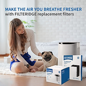 Filteridge C545 Replacement Filter, Compatible with Winix C545, Winix S Filter 1712-0096-00 Air Purifier, H13 True HepaFilter Replacement, 1 H13 HEPA Filter + 4 Activated Carbon Filters