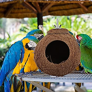 balacoo 3 pcs Coconut Shell Bird Nest Reptile Hanging Hideout Bird House Bird bite Shell House Coco Finch hut Gecko Coco hut Birds Nest Parrot Toy Bird cage Stainless Steel The Bird's nest