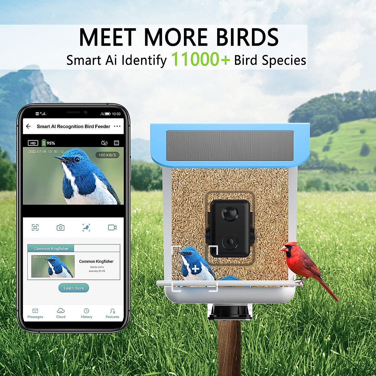 Bird Feeder with Camera,Bird Feeder with Camera Wireless Outdoor,Smart Bird Feeder with Camera,Video Bird Feeder Camera with Solar Camera Bird Feeders for Outside Camera Bird Feeder