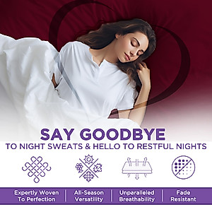 CharlottelyHues Luxury 100% Egyptian Cotton Bed Sheets - 1000 Thread Count 4-Piece Queen Sheets Set, Long Staple Cotton Bedding Sheets, Sateen Weave, Hotel Sheets, Fits Upto 18" Mattress - Burgundy