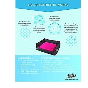 Totally Pooched Explore Bolster Dog Bed with EVERFRESH Probiotic Technology for Natural, Non-Toxic Odor Control- Pink, Medium