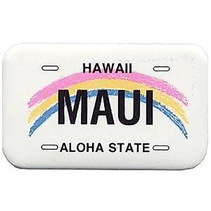 Gift House Metal Magnet Maui