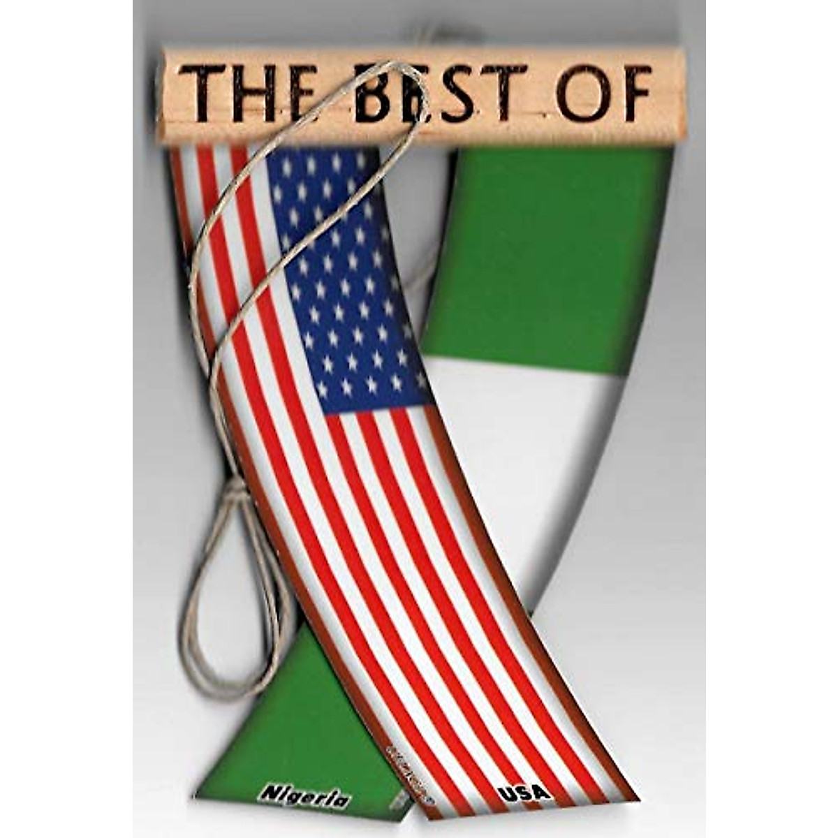 NIGERIA AND USA NIGERIAN AMERICAN WEST AFRICAN REARVIEW MIRROR MINI BANNER HANGING FLAGS FOR THE CAR UNITY FLAGZ™..