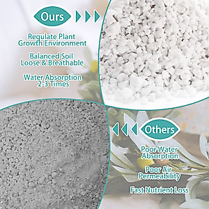Legigo 2 Quarts Organic Horticultural Perlite for Plants Indoor- Natural Horticultural Soil Additive Conditioner Mix for Improves Drainage, Ventilation and Root Growth