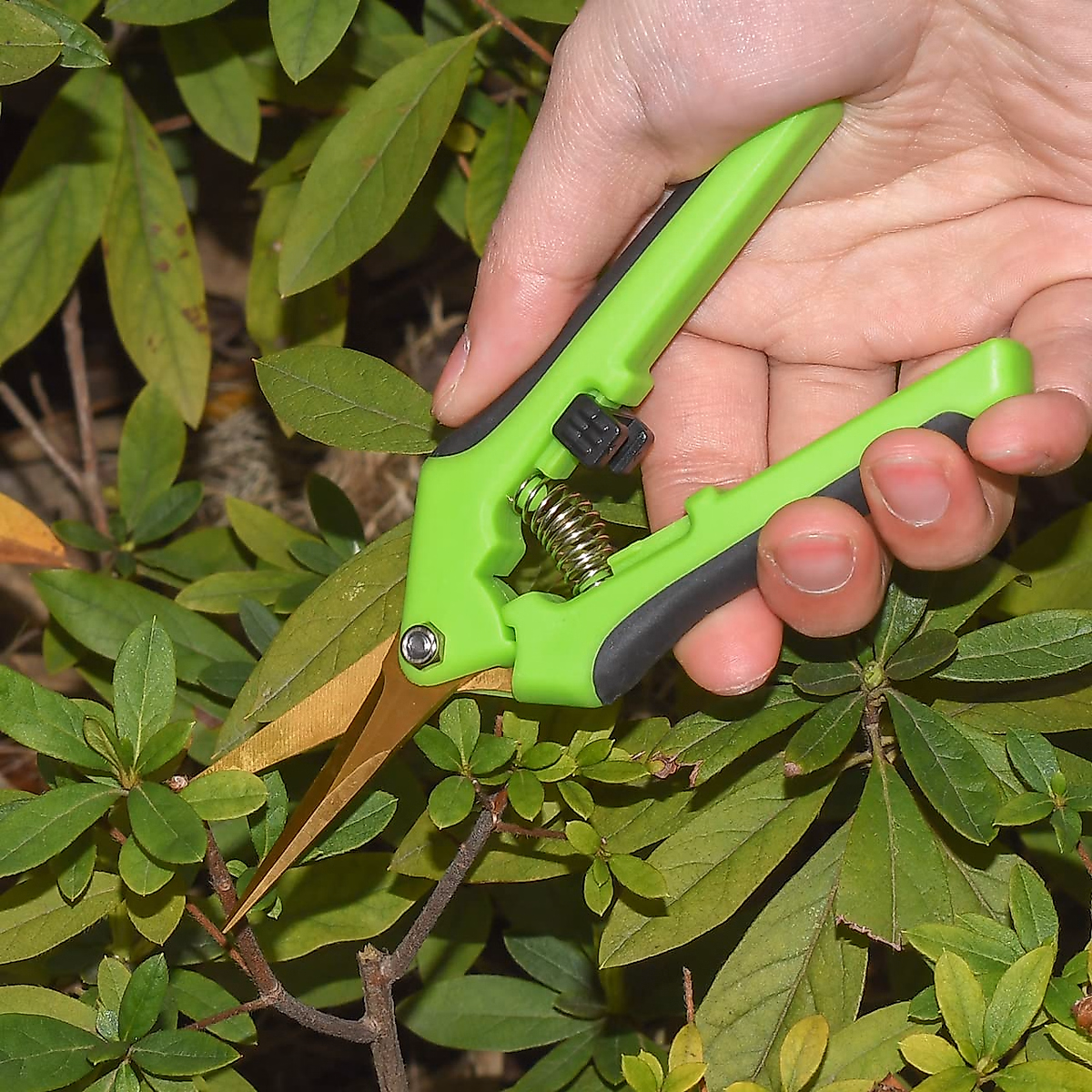 Pruning Shears Garden Scissors Clippers, 1 Pack 8" Professional Sharp Bypass Pruning Shears and 1 Pack 6.5 Inch Gardening Scissors Hand Pruner Pruning Shear with Curved Precision Blades