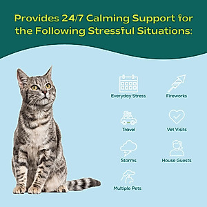 bSerene Pheromone Calming Collar for Cats Up to 30 Days Stress Relief Promotes Calmness, Reduces Hiding, Excessive Meowing, Urine Marking, Aggression, Travel Stress Drug-Free, Vet-Tested