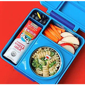 Whole Milk boxes Organic Shelf-Stable Milk Whole, Horizon Whole Milk Single Serve, 8.0 Fl OZ Bundled with a BETRULIGHT Fridge Magnet – 6 Pack